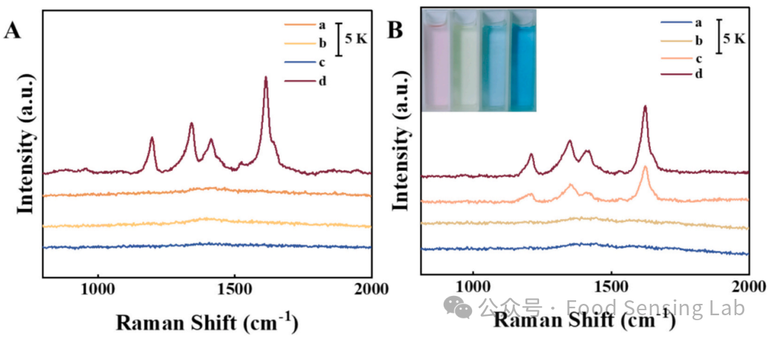 食品与生物工程学院杨潇教授在食品领域TOP期刊Food Chemistry上发表最新研究成果